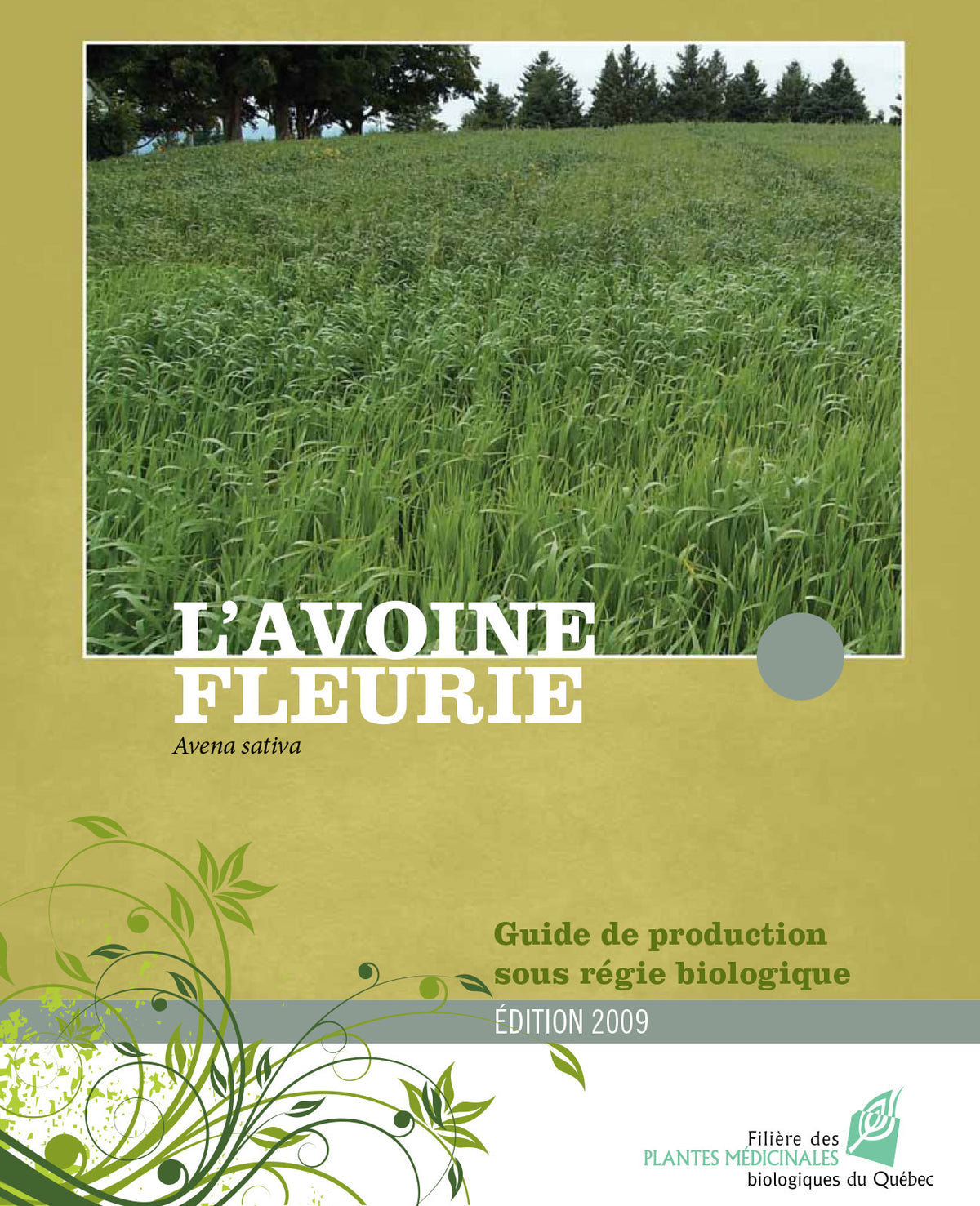 L'avoine fleurie | Guilde des Herboristes